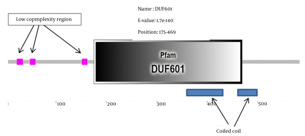 Identification of the Properties and Function of the Unknown Protein ...