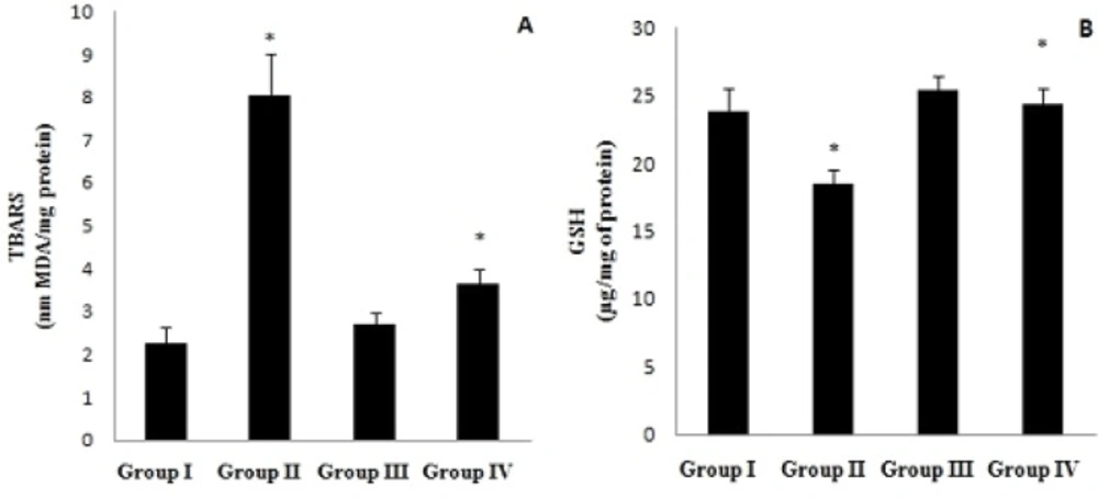 Ameliorative Effect of Beraprost Sodium on Celecoxib Induced ...