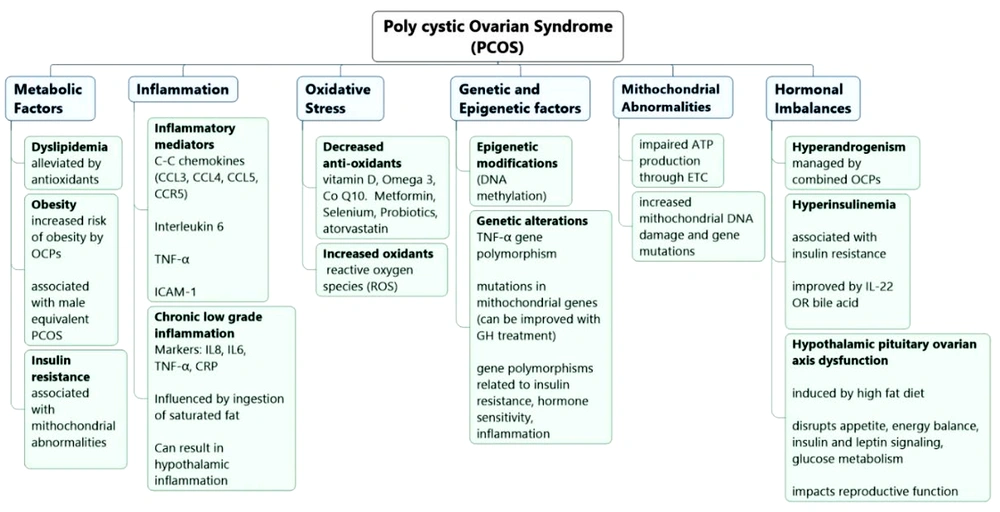 Poly Cystic Ovary Syndrome (PCOS): Inflammation, Hormonal Imbalance ...