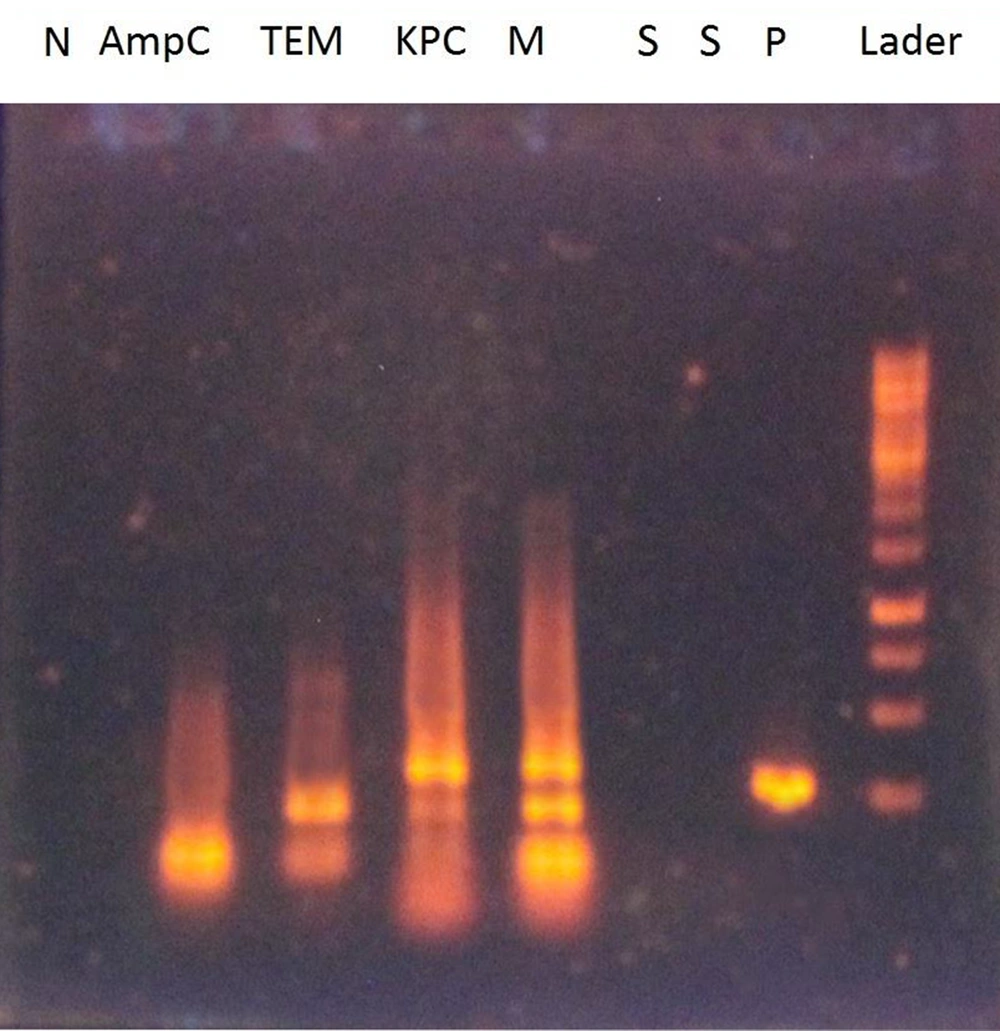 Antimicrobial Resistance Profile of Extended-spectrum Beta-lactamase ...