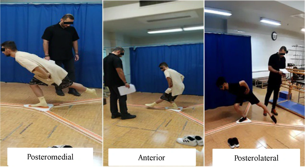 Comparison of Dynamic Balance and Ankle Proprioception in Male Athletes ...
