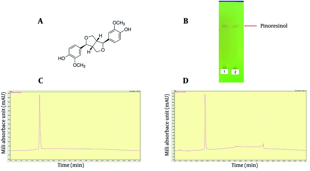 Effects of Pinoresinol from Vietnamese Gnetum montanum Markgr Inhibits ...