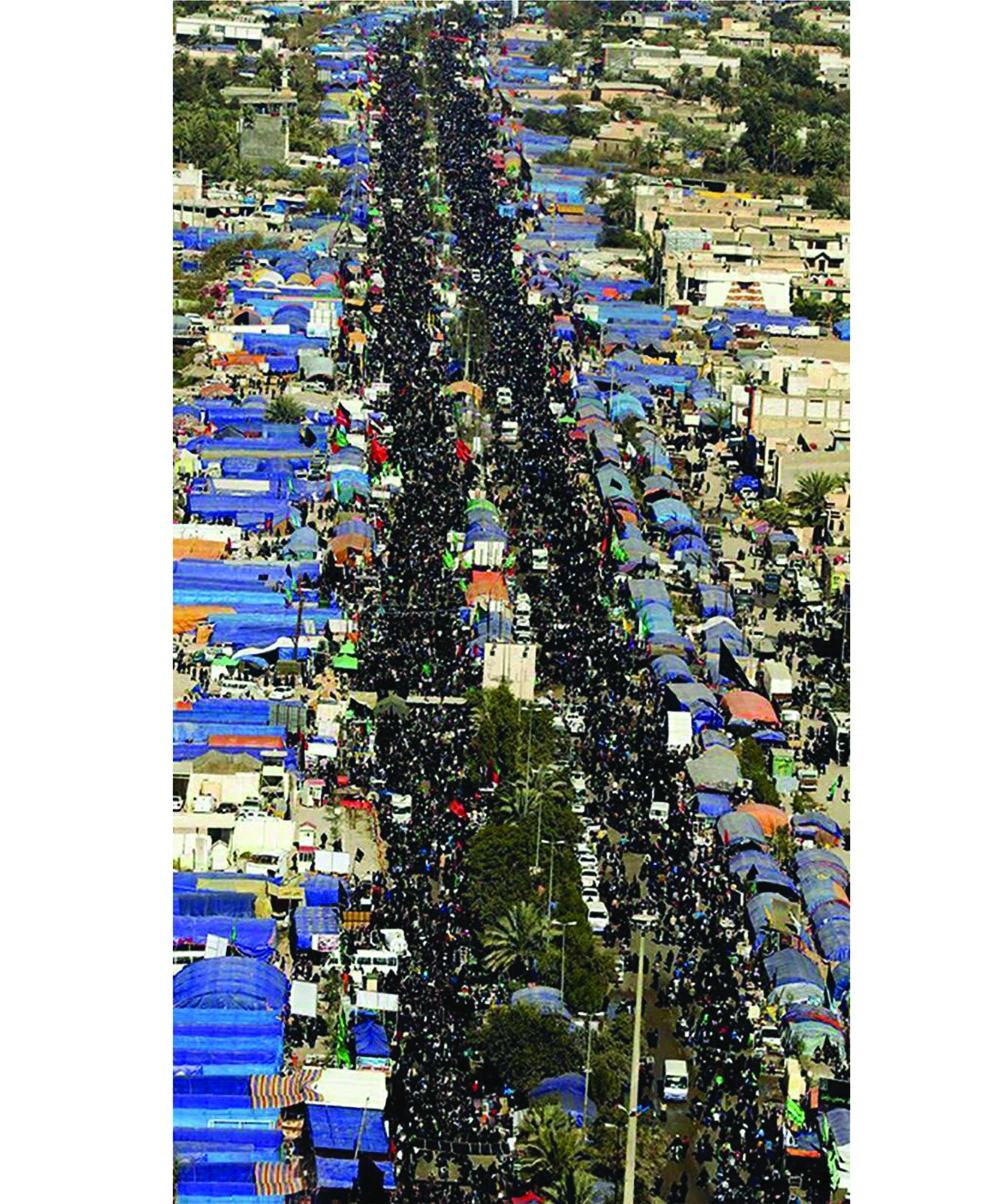 Mass Gathering Medicine: An Emerging Educational Field with a Focus on ...